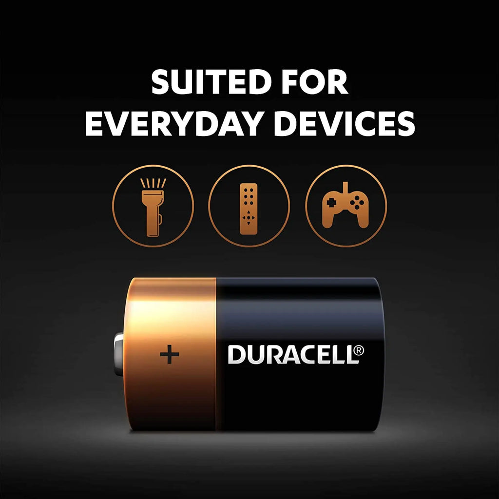 Type D Rechargeable Batteries — JUST BATTERIES AUSTRALIA